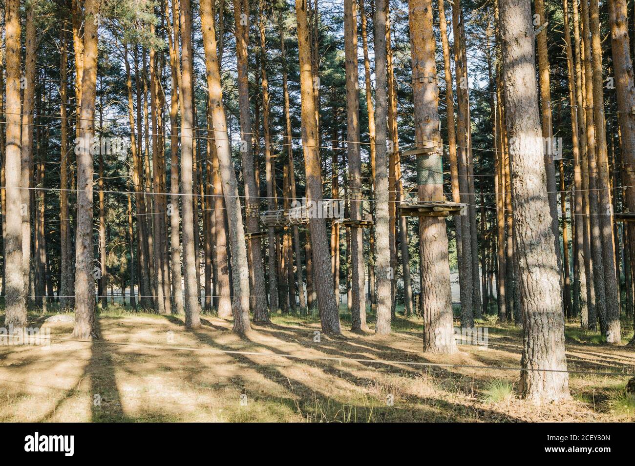 Amazing view of wooden platforms and ropes on trees in adventure park ...
