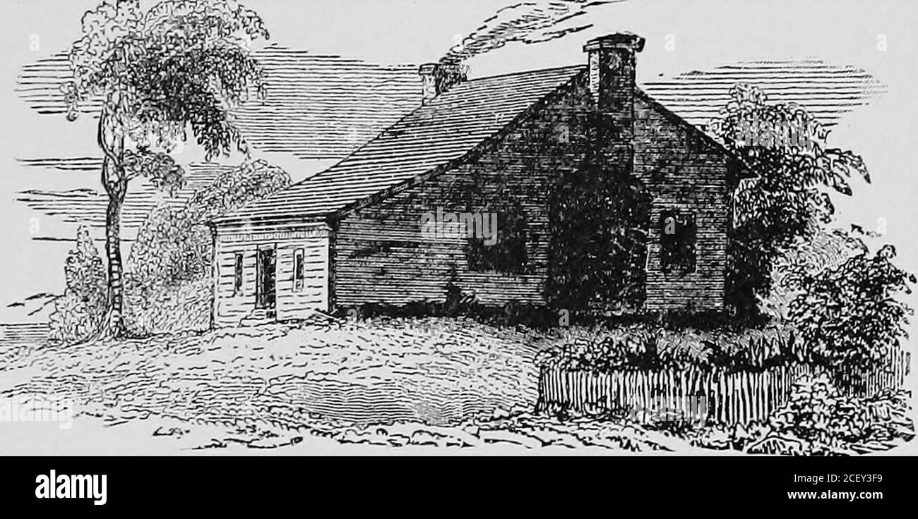 . The true story of George Washington : called the father of his ...