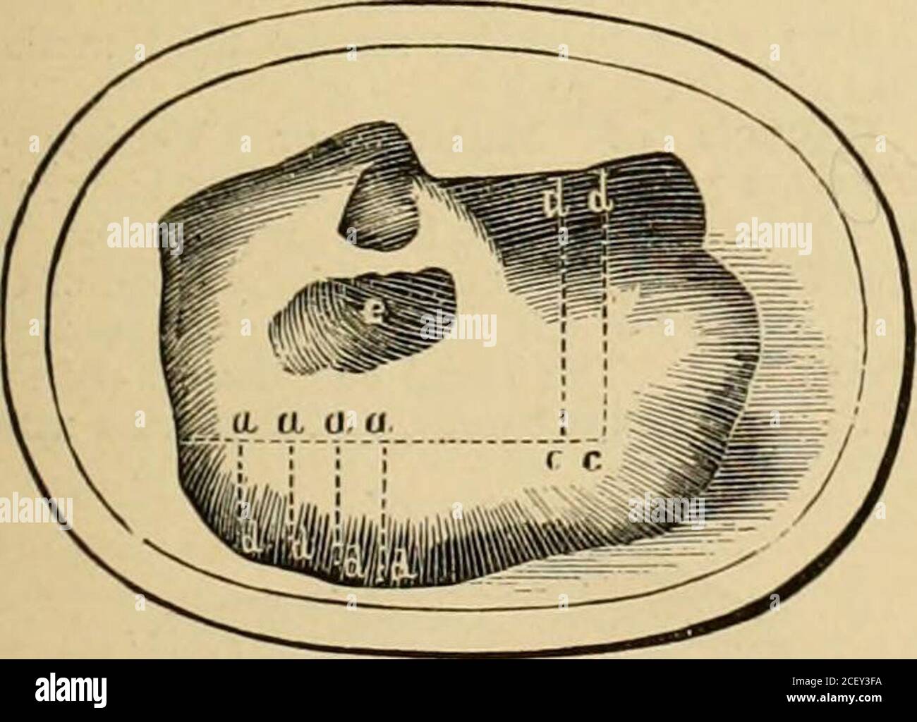 Salmon milt hi-res stock photography and images - Alamy