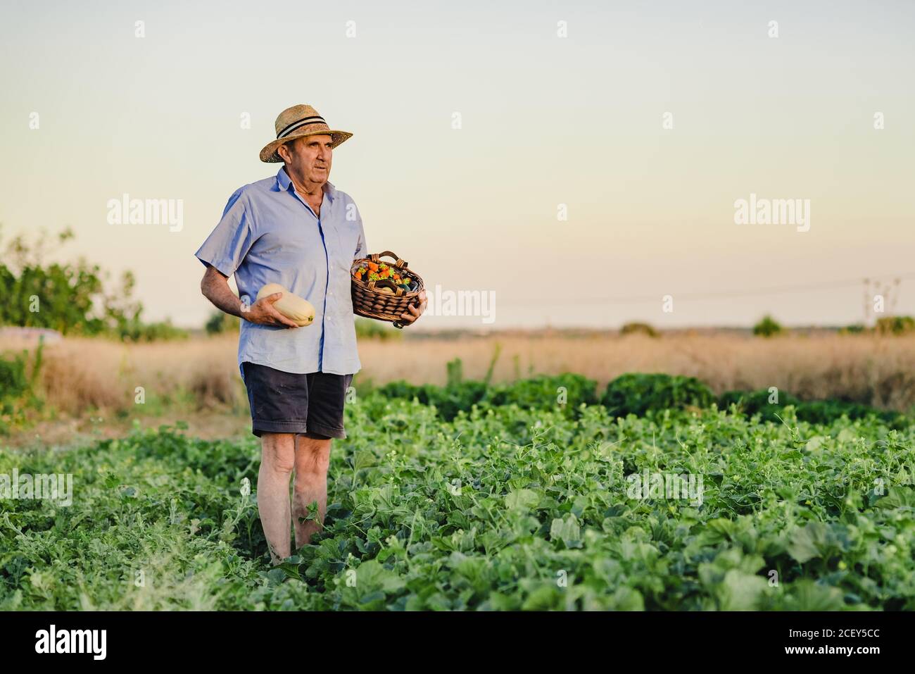Aged male farmer standing barefoot with wicker basket of fresh fruits ...