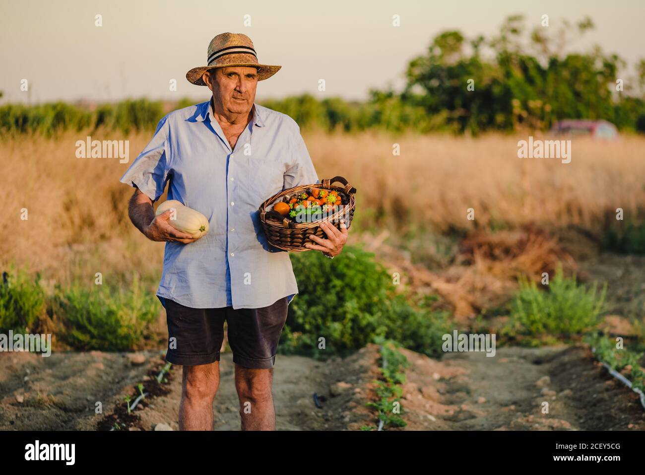 Aged male farmer standing barefoot with wicker basket of fresh fruits ...