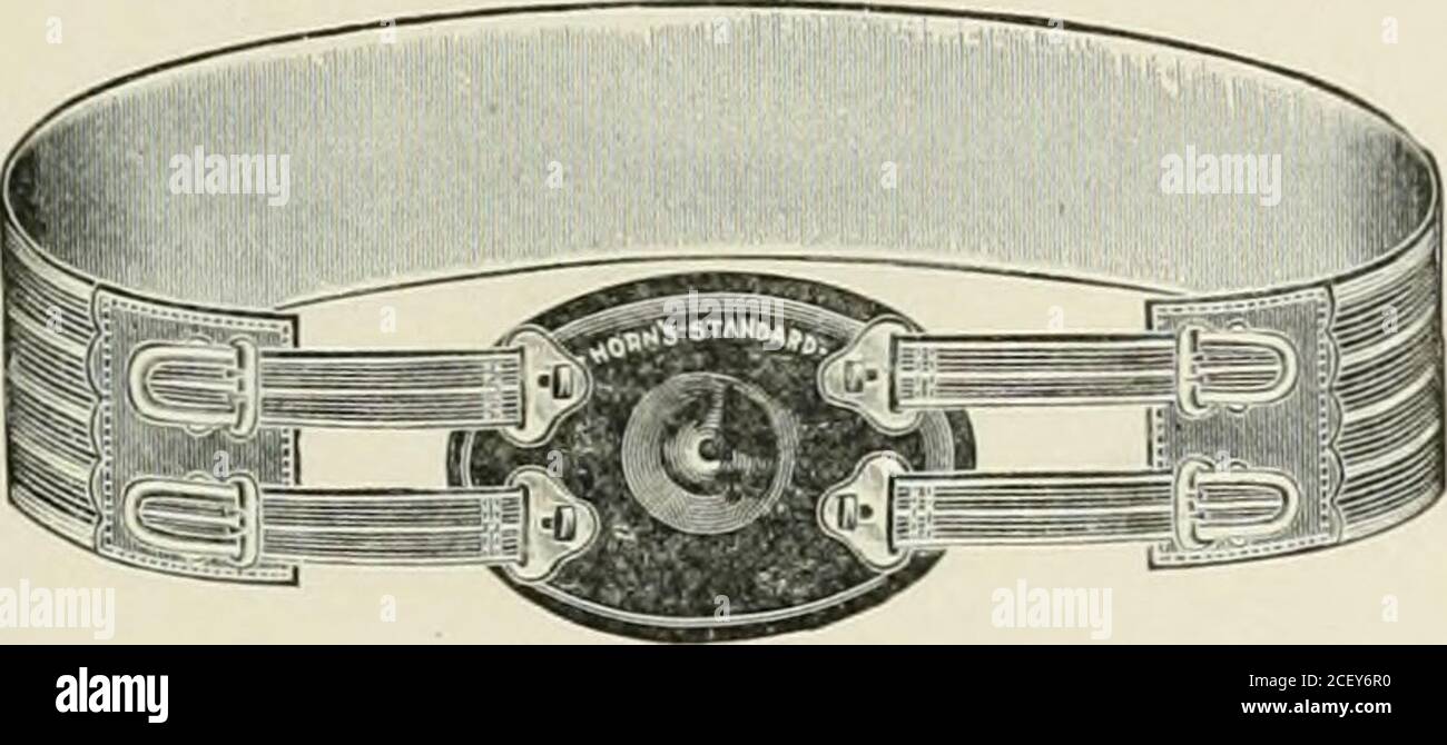 . Abdominal hernia : its diagnosis and treatment. 6. Bow-spring hard ...