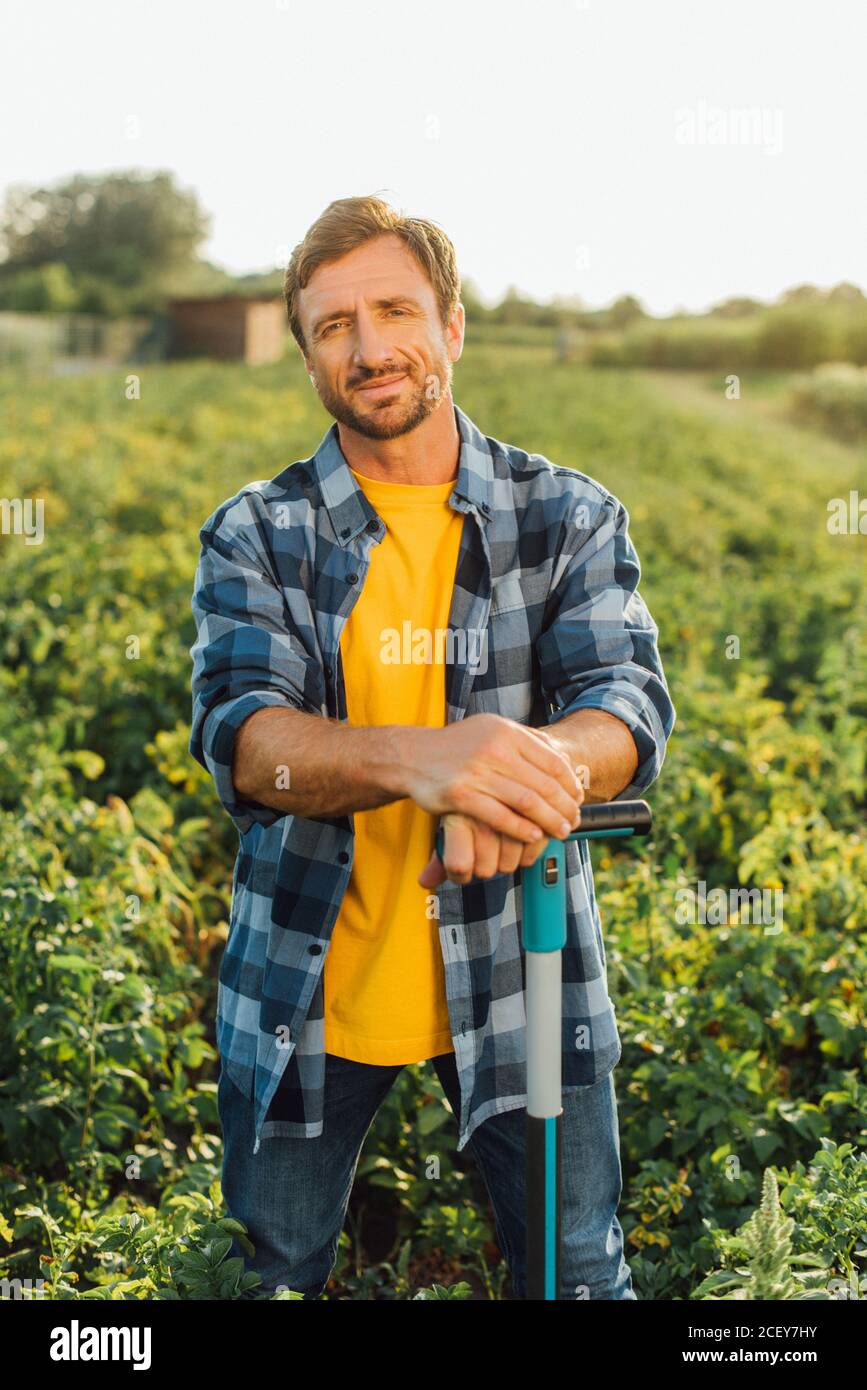 farmer in plaid shirt looking at camera while standing with shovel in ...