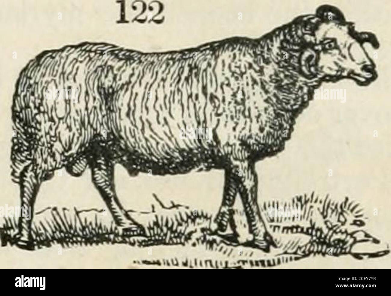 . The encyclopædia of geography: comprising a complete description of ...