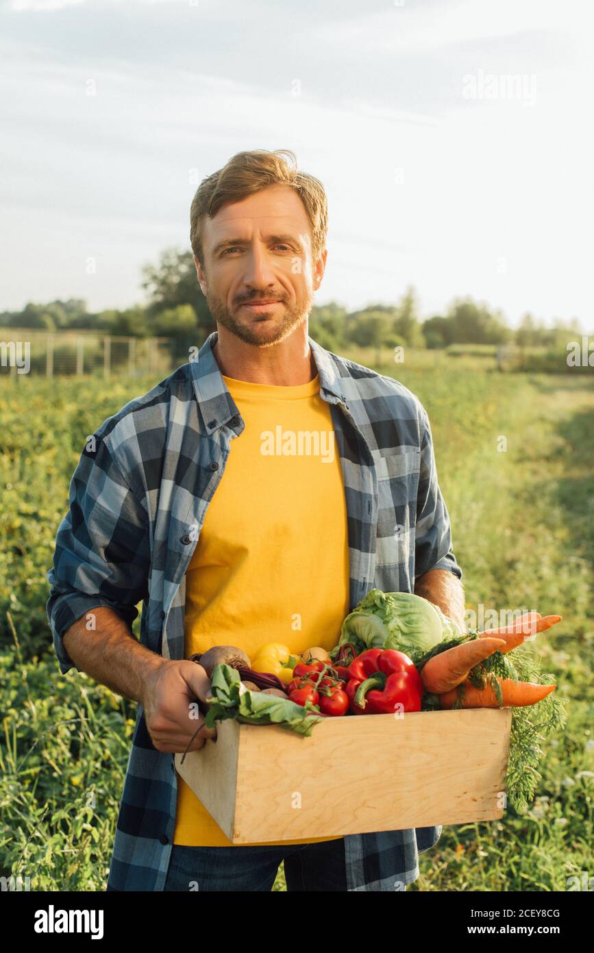 farmer in plaid shirt looking at camera while holding box with fresh ...