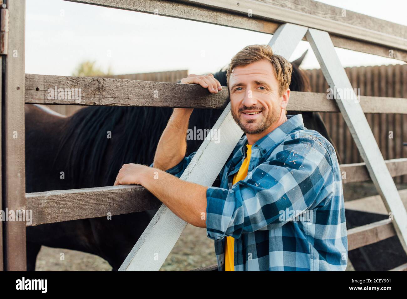 Checkered fence hi-res stock photography and images - Alamy