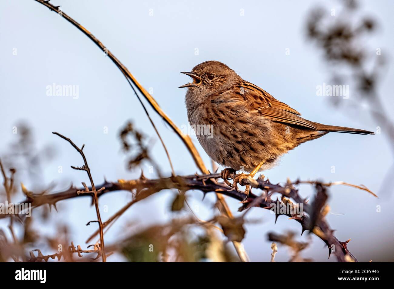 Tuckton dorset hi-res stock photography and images - Alamy