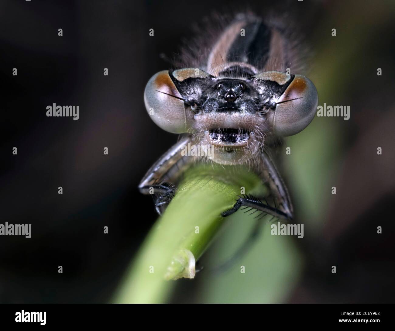 Crawl tube hi-res stock photography and images - Alamy
