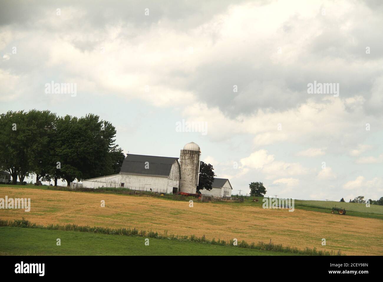 American barnyard grass hi-res stock photography and images - Alamy