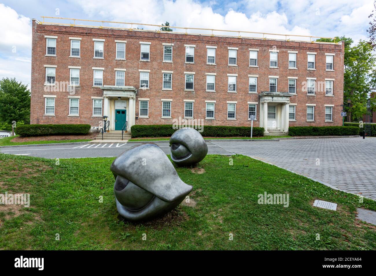 "Eyes" Williams College Museum of Art Lawn- Seeing Double , artist ...