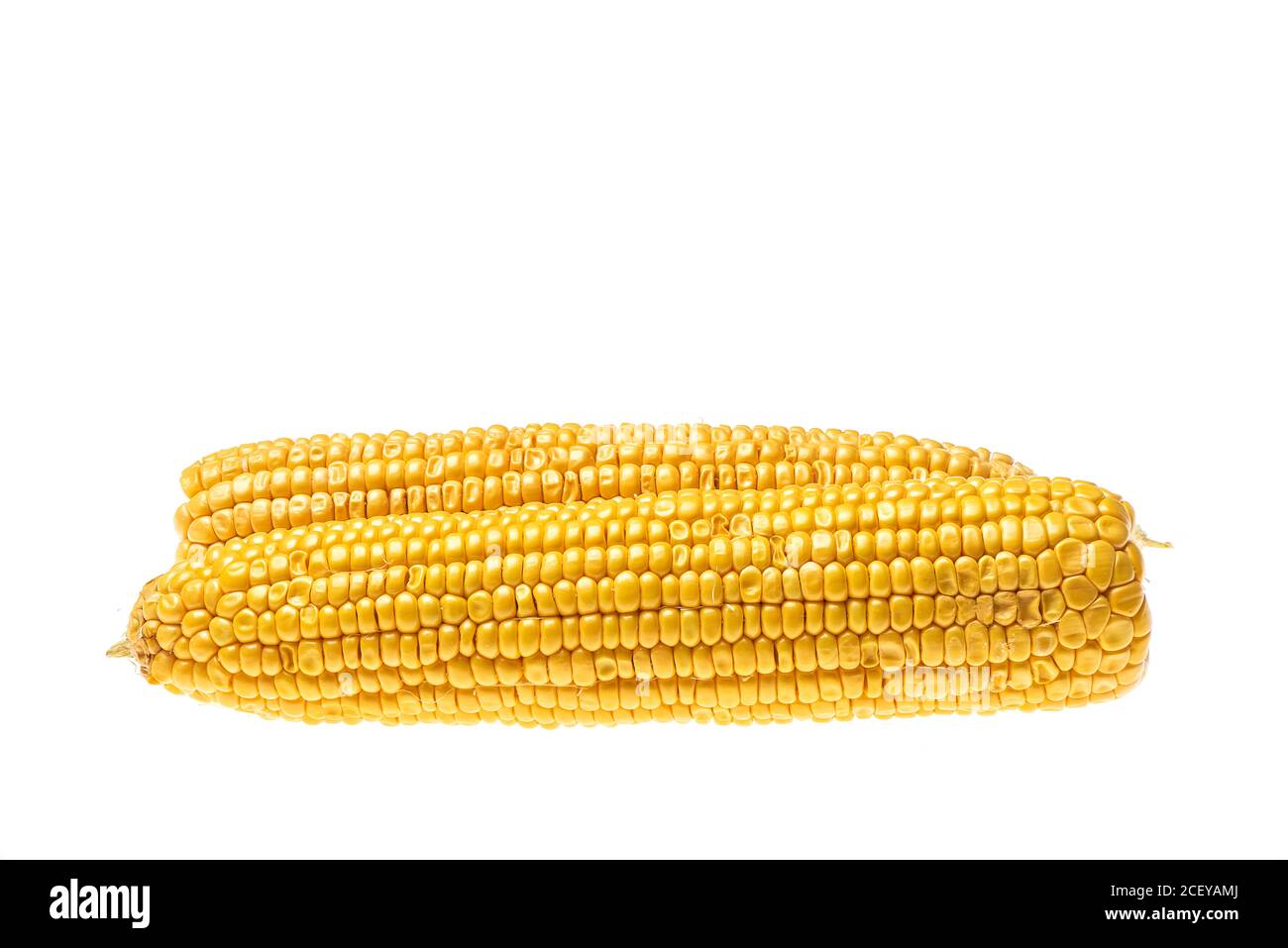 Two corncobs lying parallel isolated on white background Stock Photo ...