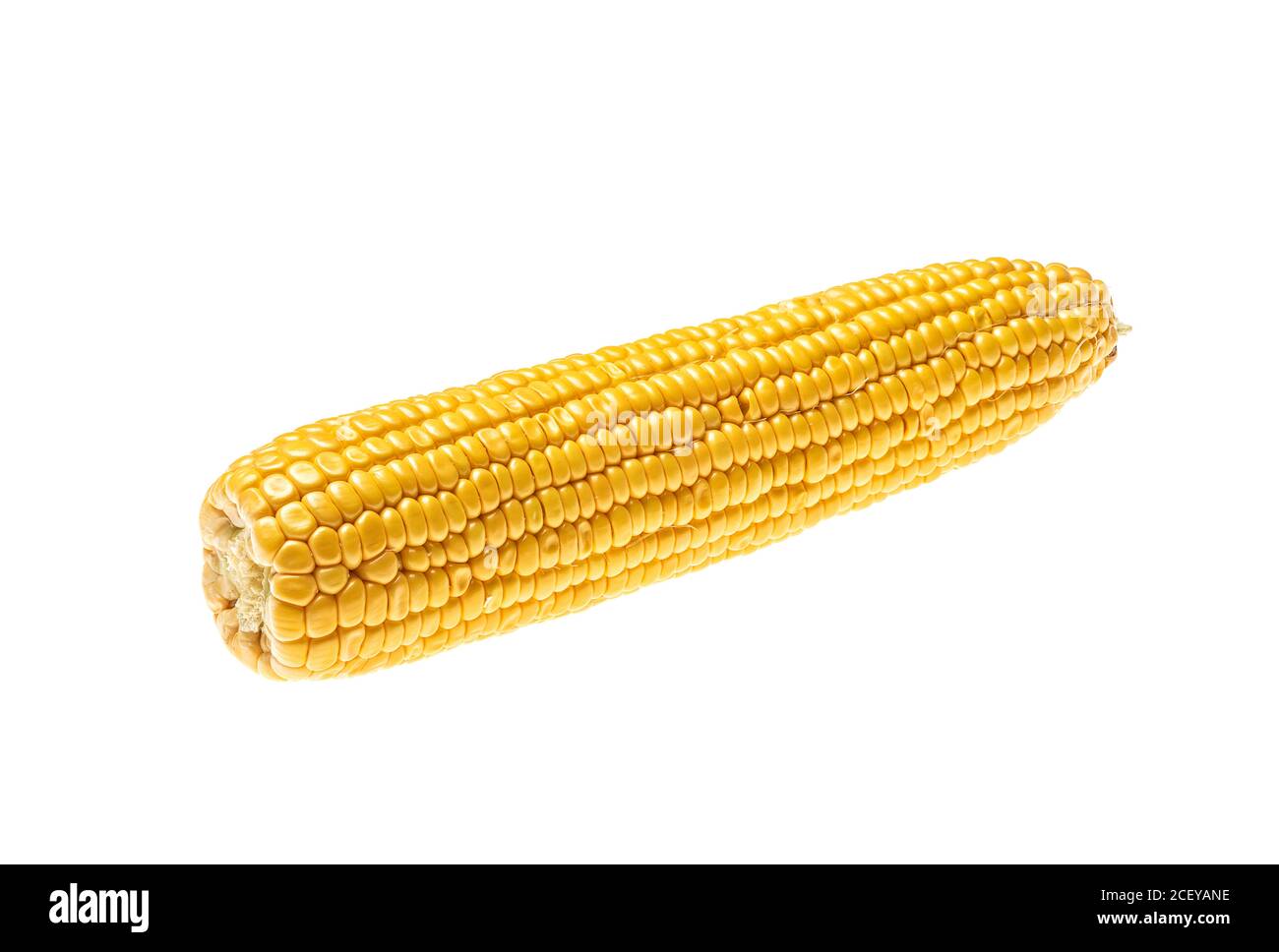 Ear of corn isolated on white background Stock Photo - Alamy