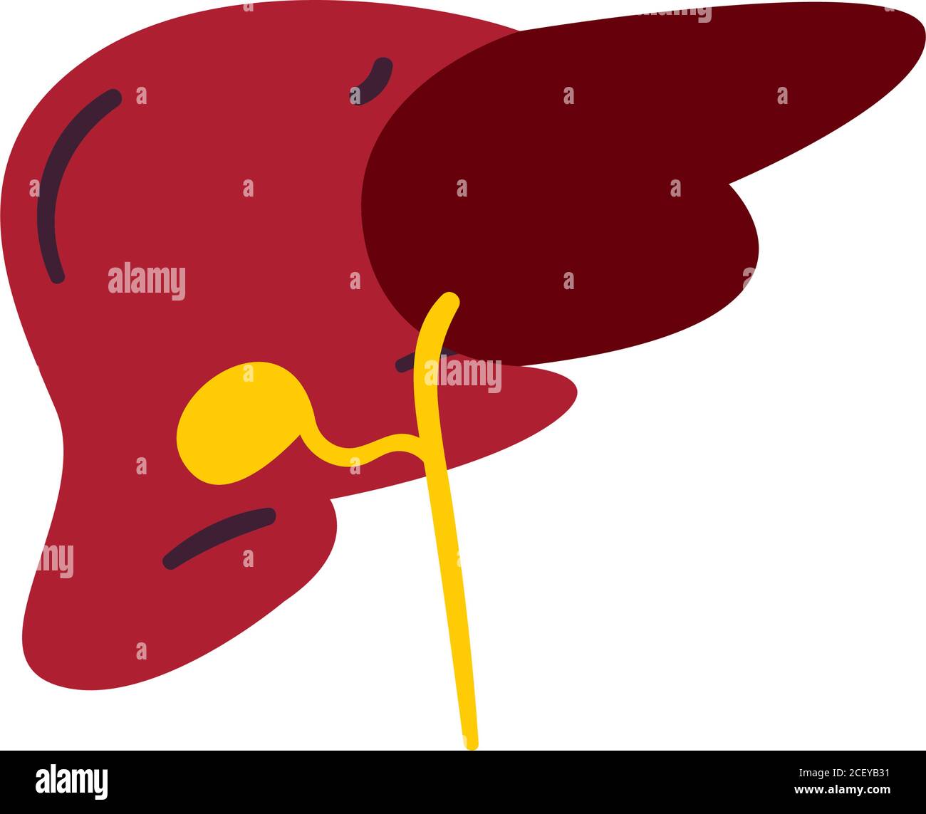 liver free form style icon design, Human body person people health ...