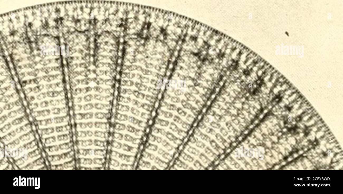 . The book of photography; practical, theoretical and applied. |i ...