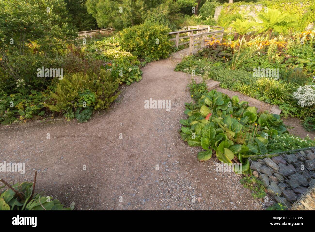 RHS Hyde Hall garden landscape Stock Photo - Alamy