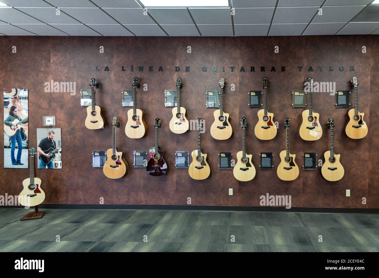 Examples of the different Taylor Guitar lines are on display in the ...
