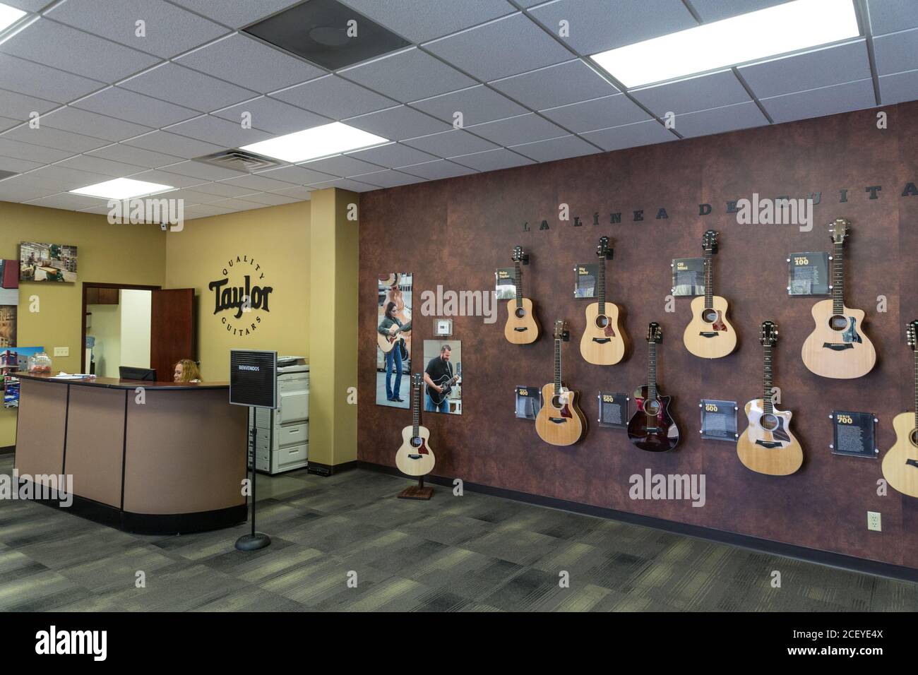 Examples of the different Taylor Guitar lines are on display in the ...