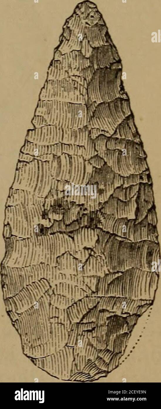 Neolithic implements of stone hi-res stock photography and images - Alamy