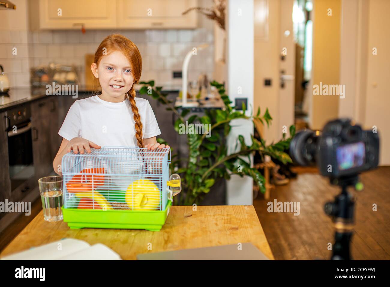 little caucasian blogger girl show domestic animal in cell at camera ...