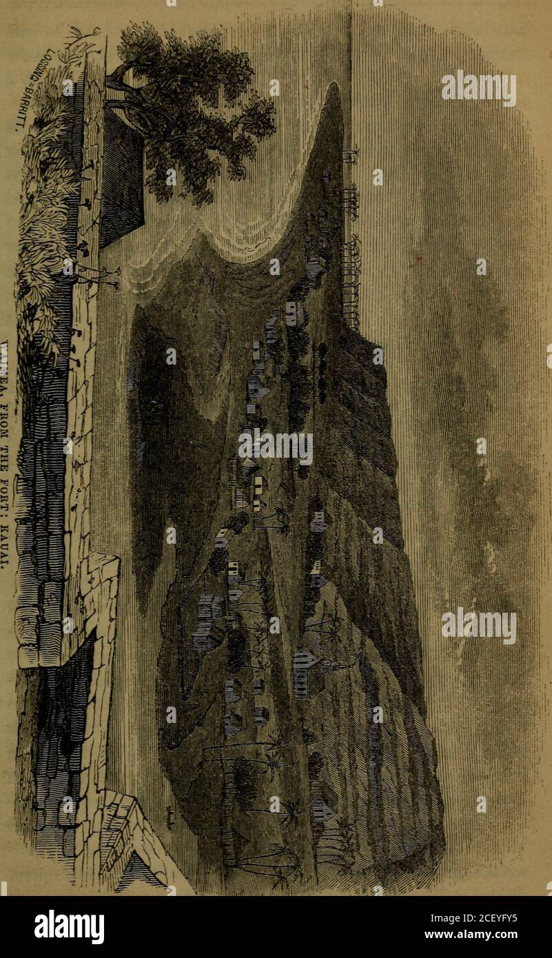 Bookidsandwichisla hi-res stock photography and images - Alamy