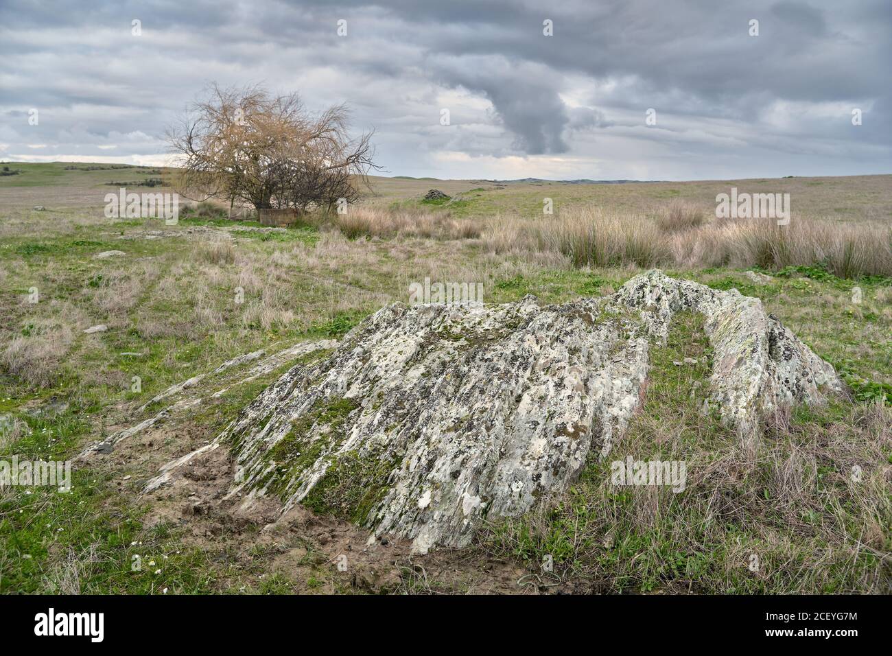 Alentejo Plains, Planicie Alentejana, Portugal Stock Photo - Alamy