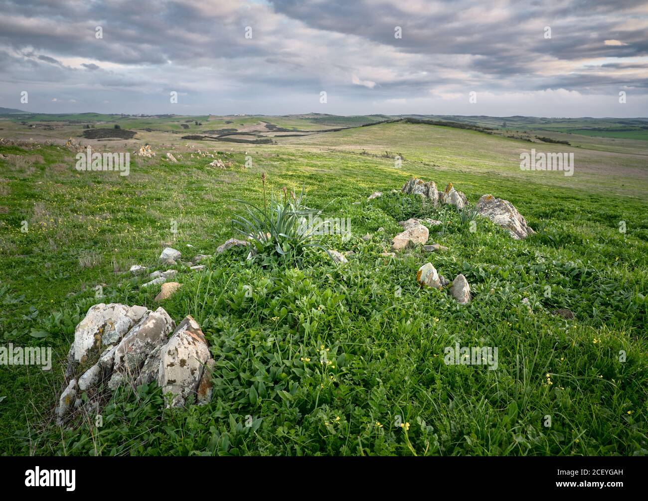 Alentejo Plains, Planicie Alentejana, Portugal Stock Photo - Alamy