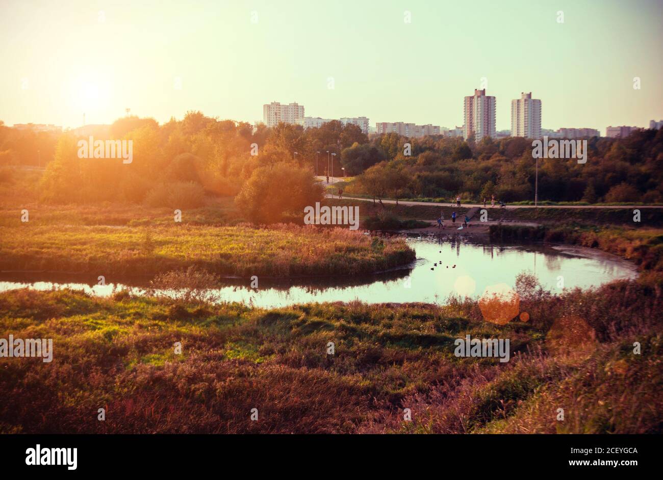 Autumn sunset landscape with yellow and green trees and river. Fall ...