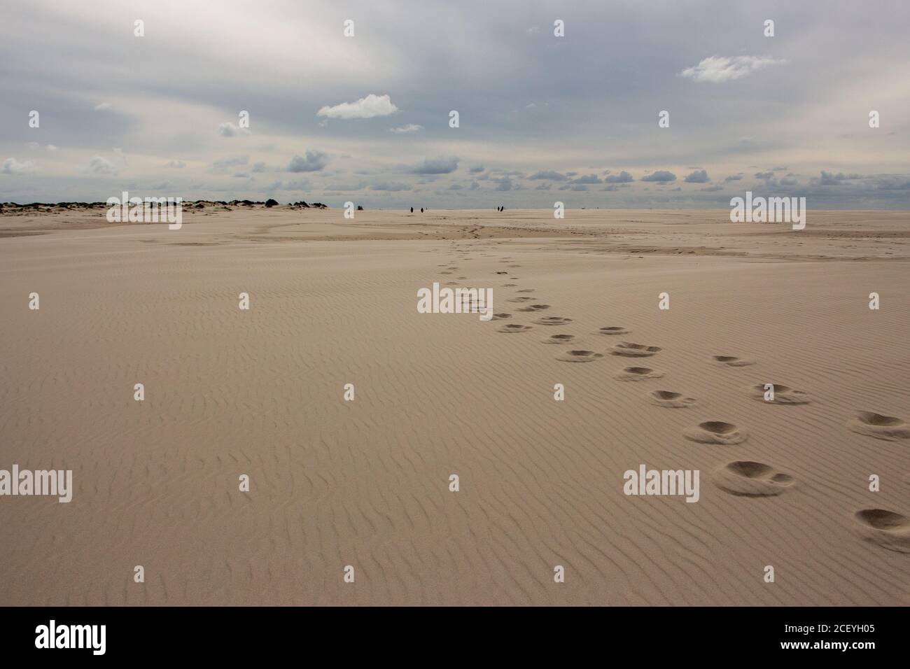 Amrum Island, Northern Germany, North Sea Stock Photo - Alamy