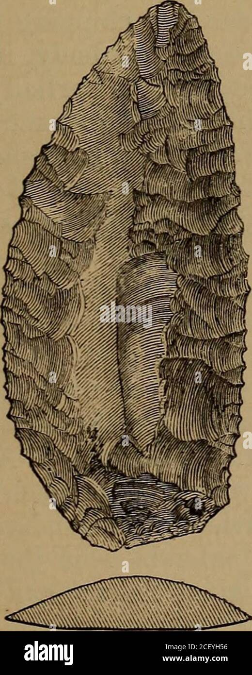 Thin flint knife hi-res stock photography and images - Alamy