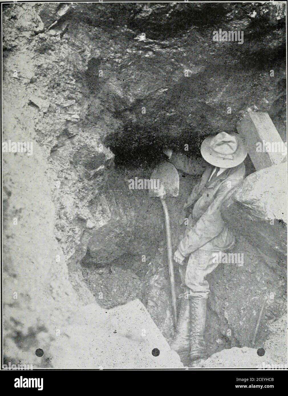 Ehner hi-res stock photography and images - Alamy