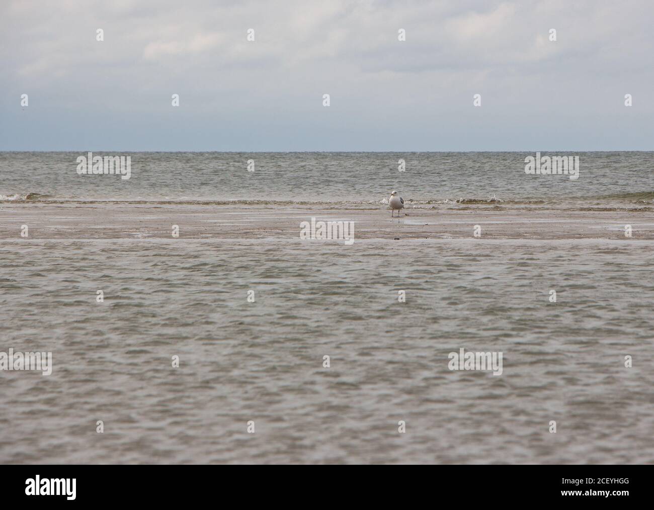 Hike around Romo Island, Denmark Stock Photo - Alamy