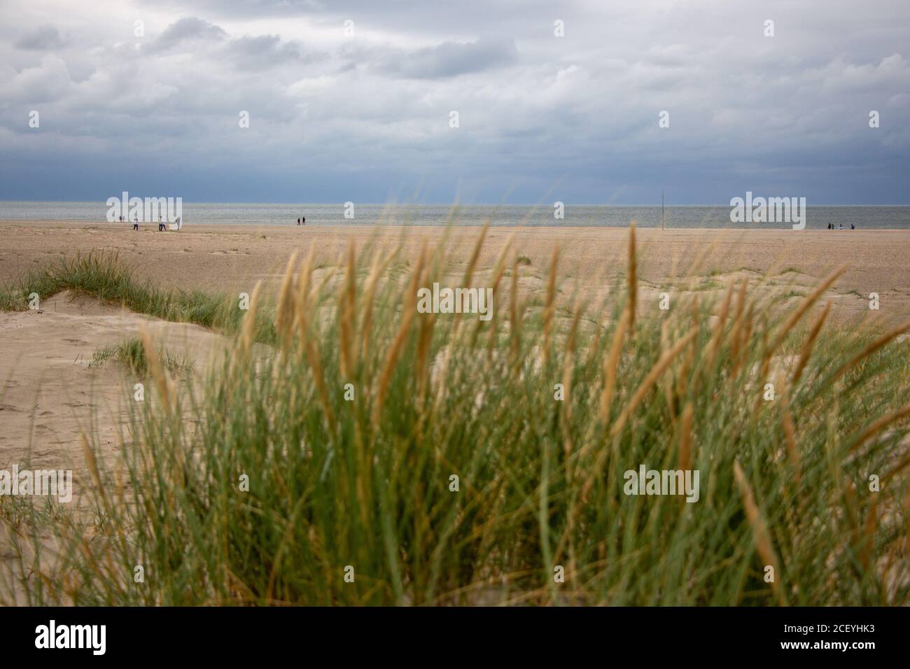 Hike around Romo Island, Denmark Stock Photo - Alamy