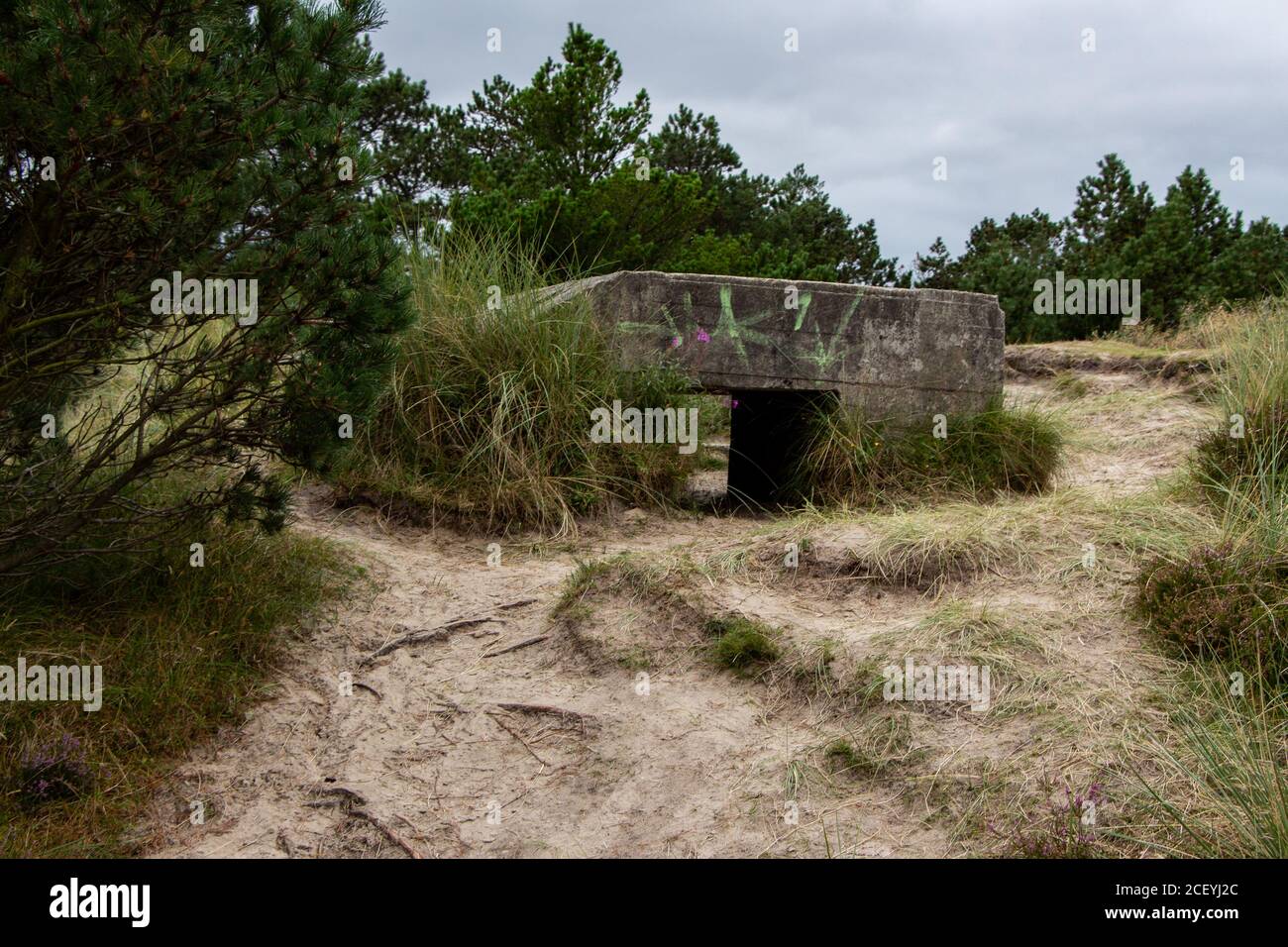 World war bunkers on Danish Island Romo, Denmark Stock Photo - Alamy