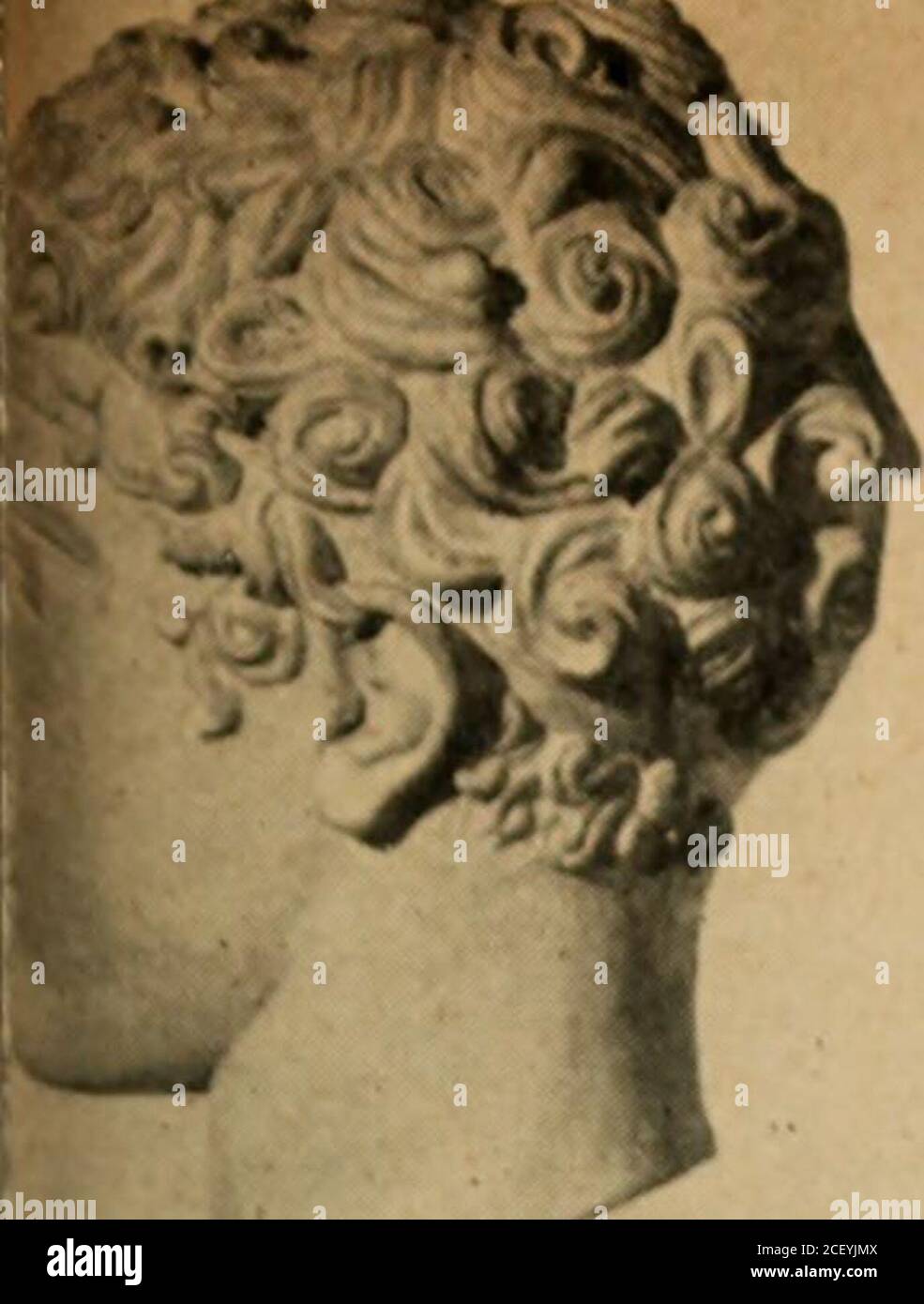 Man ape brain hi-res stock photography and images - Alamy