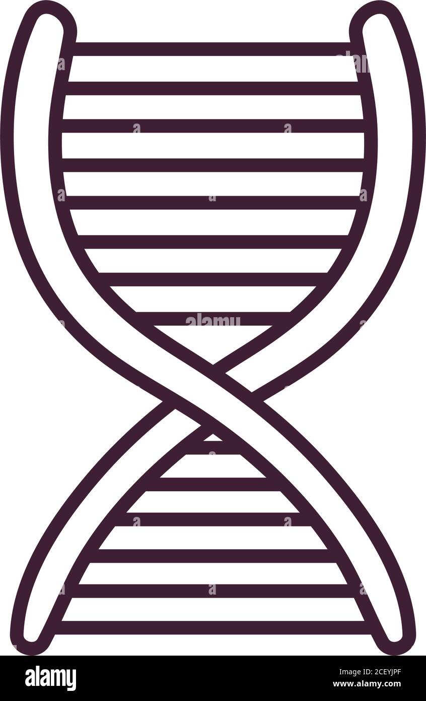 Dna structure line style icon design, Chromosome science molecule ...