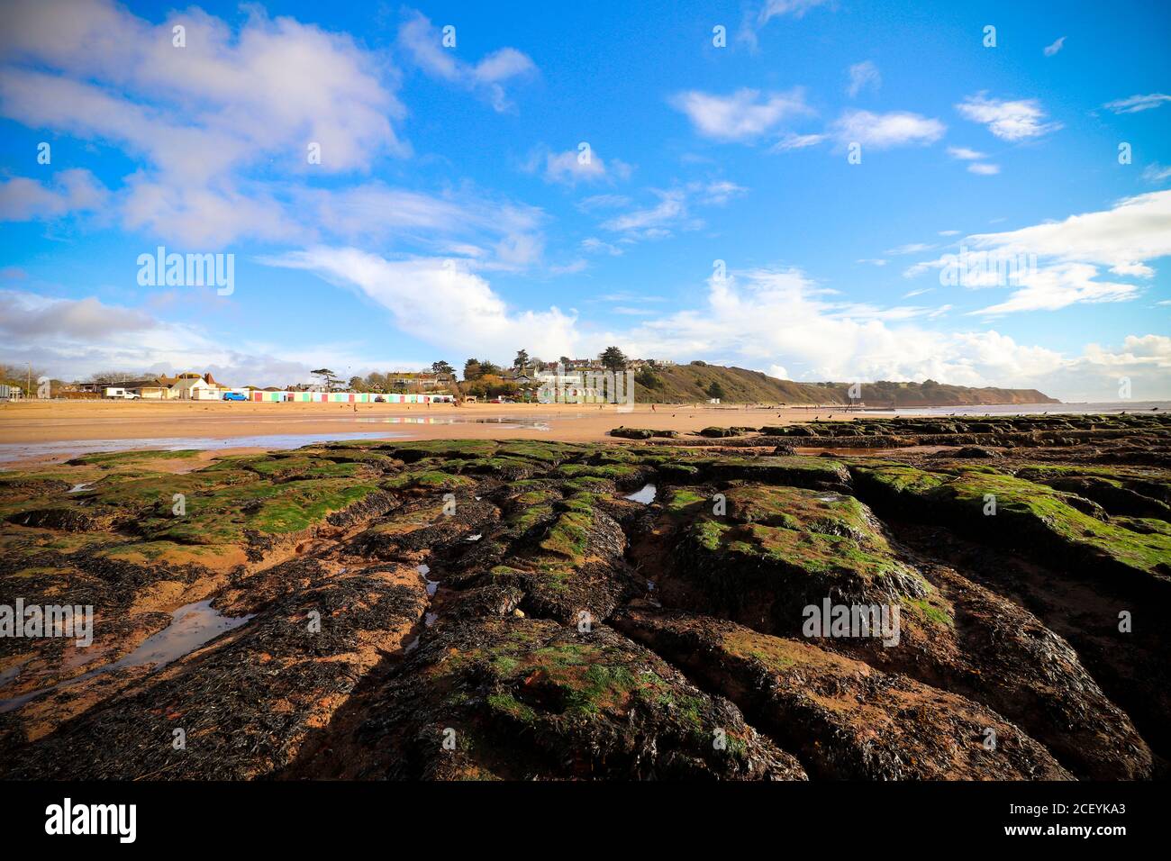 Exmouth beach and promenade hi-res stock photography and images - Alamy