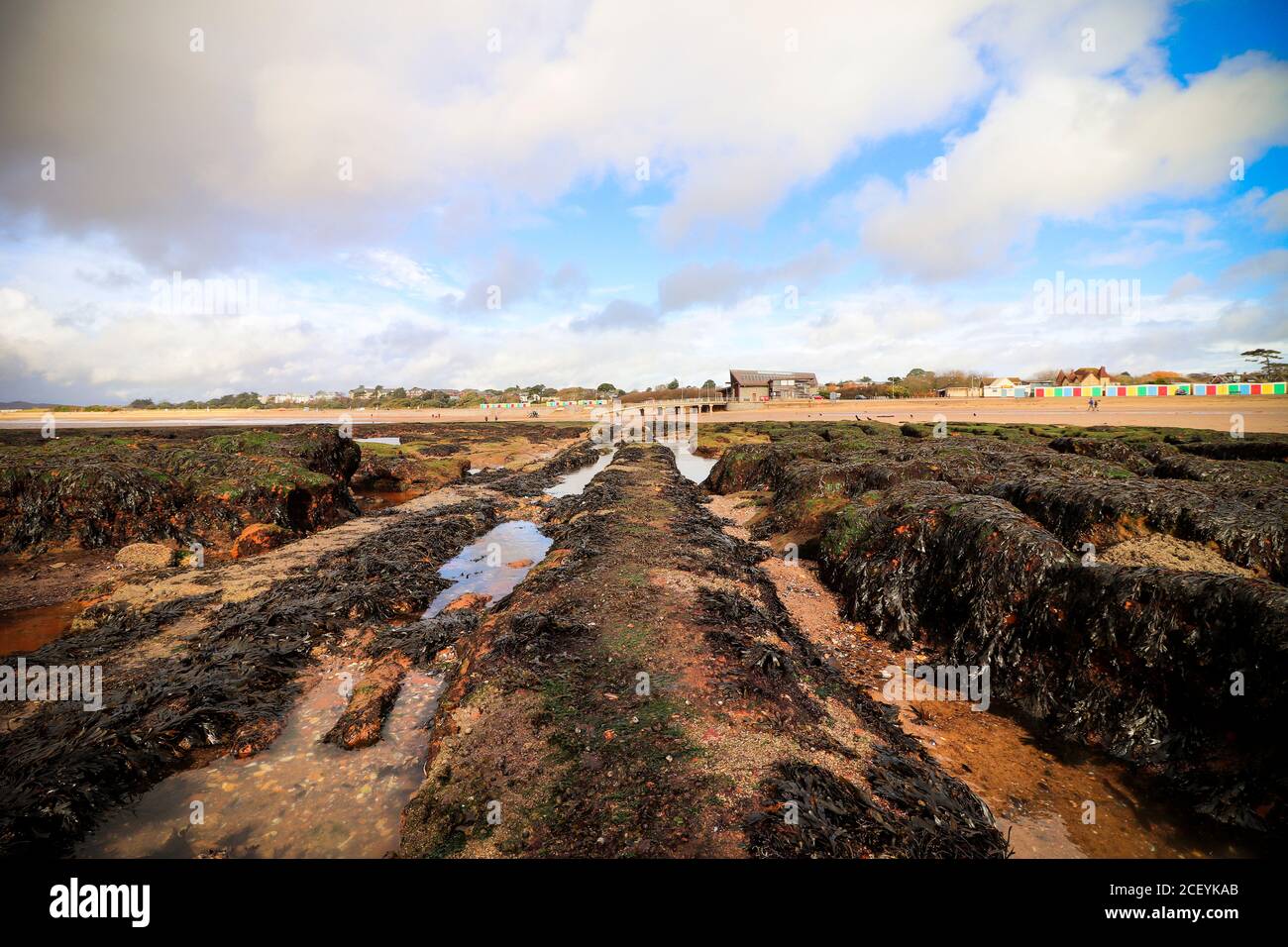 Exmouth Beach And Promenade High Resolution Stock Photography and ...