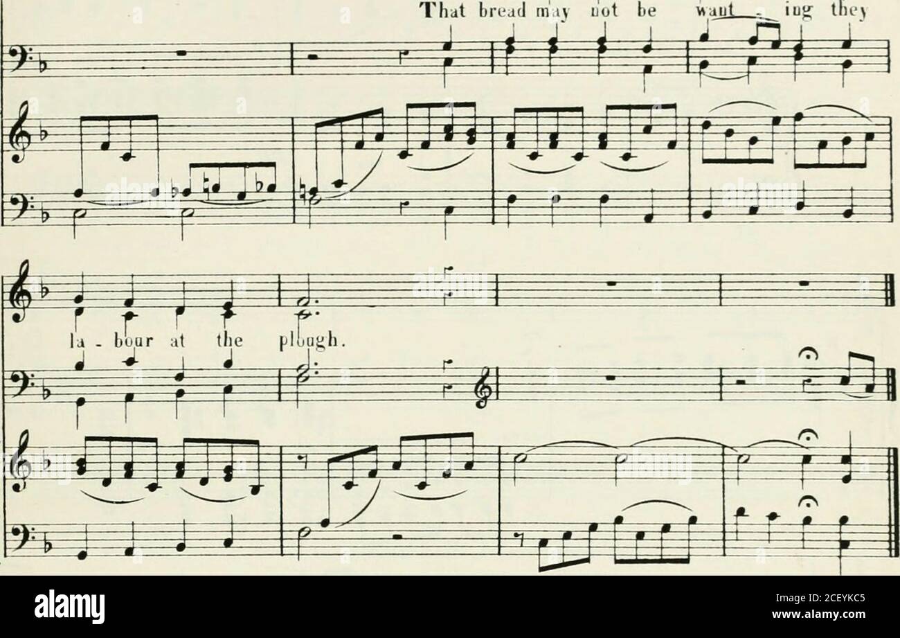 Plough fish hi-res stock photography and images - Alamy