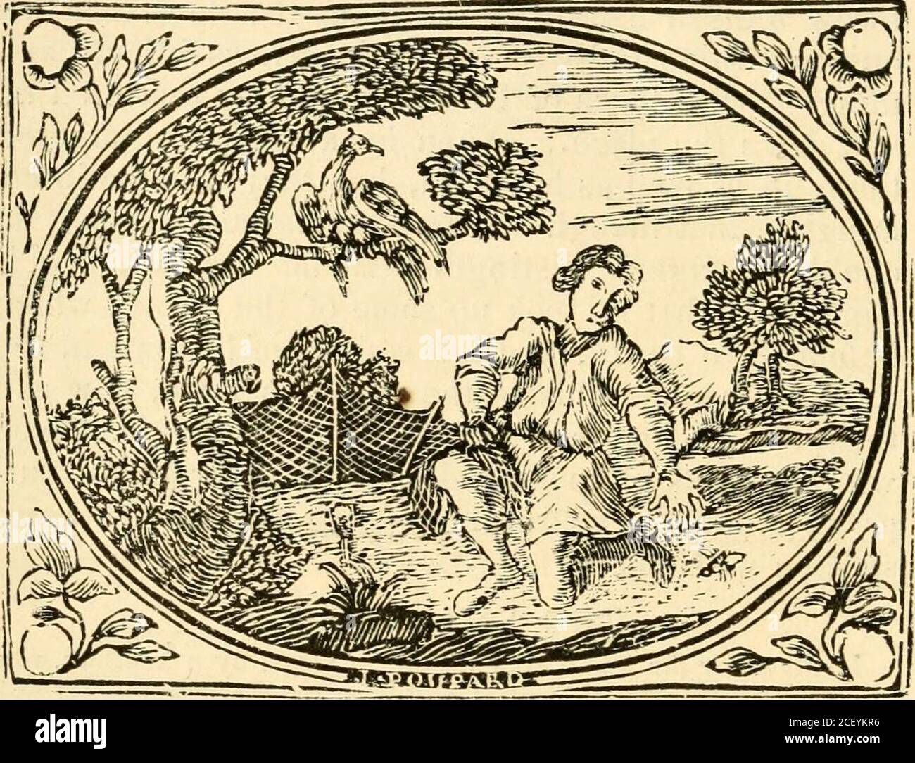 Agardener hi-res stock photography and images - Alamy