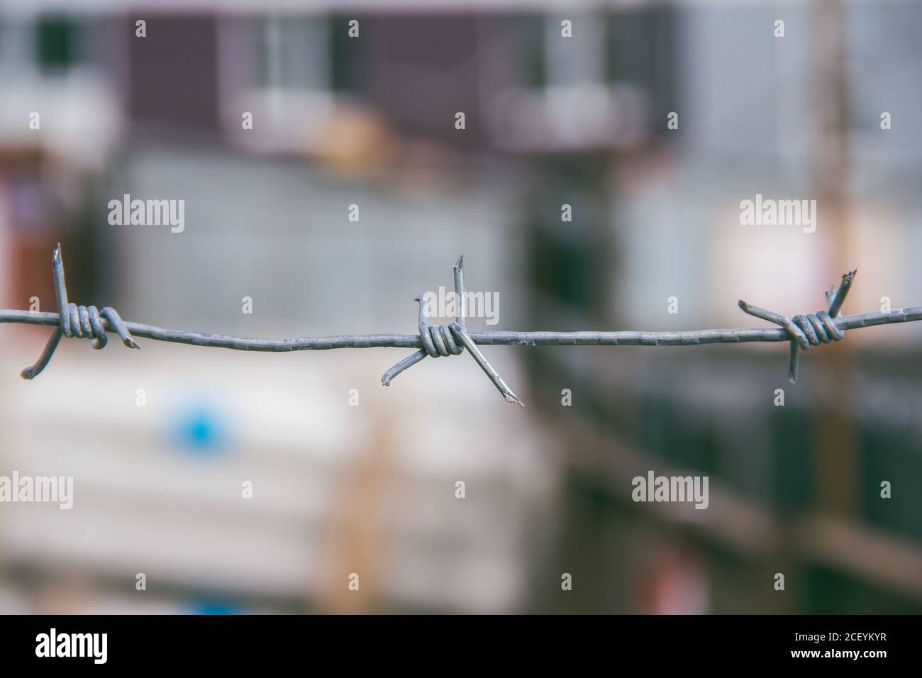 Barbed Wire close up. Material for fencing the territory. Barbed wire ...