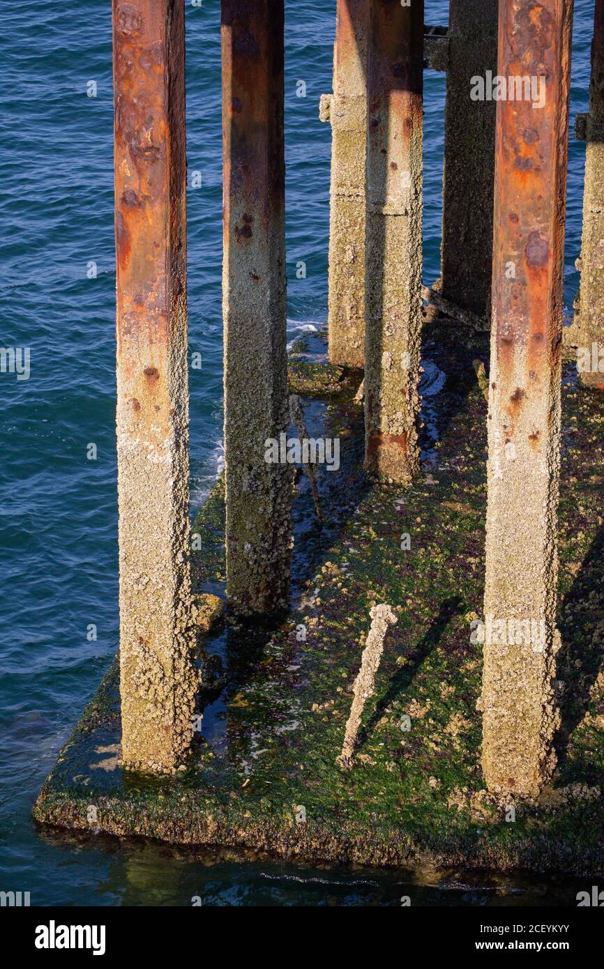 Pier legs at Llandudno covered in rust & barnacles Stock Photo - Alamy