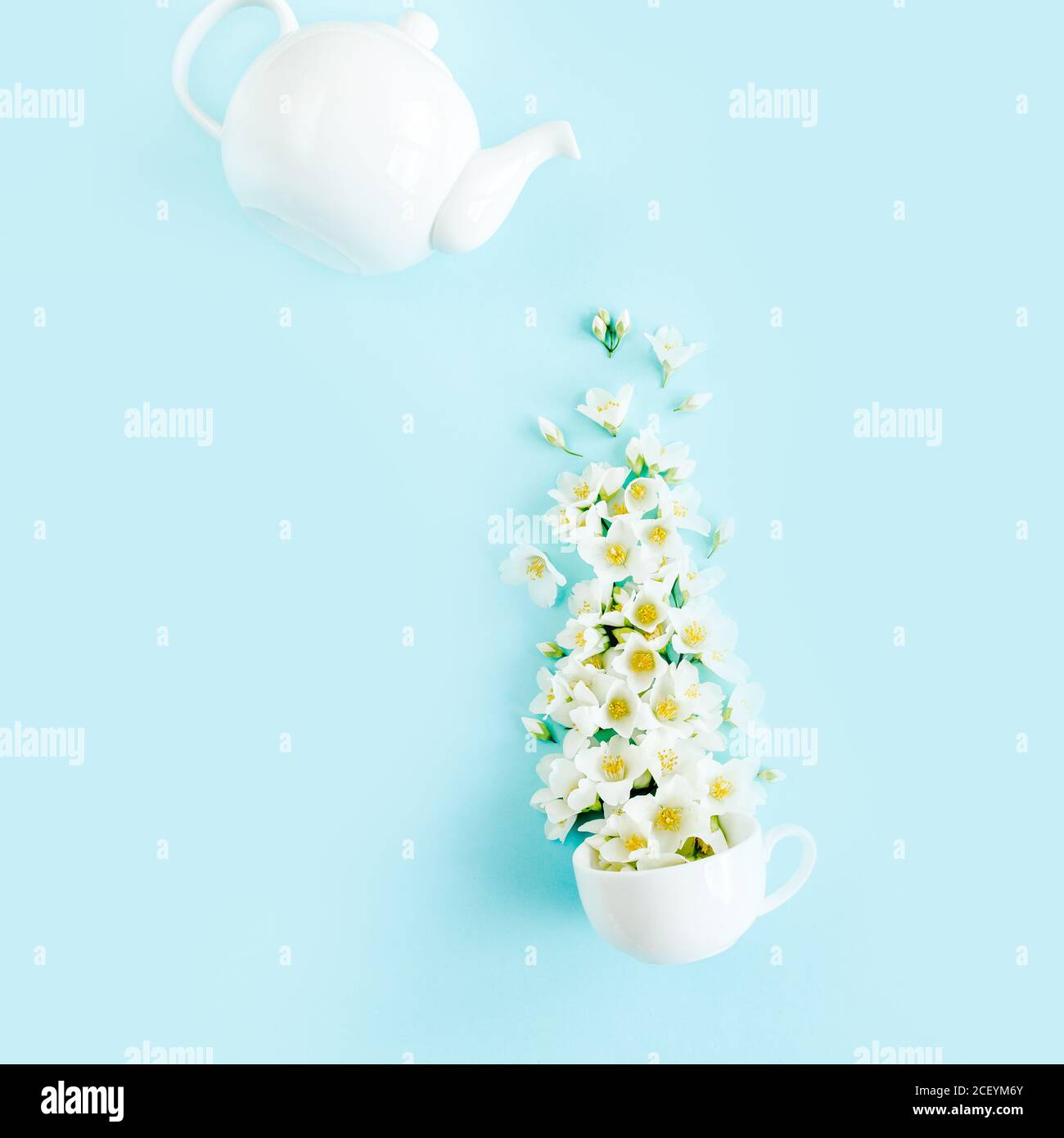 Creative layout of a tea Cup with Jasmine flowers on a blue background ...