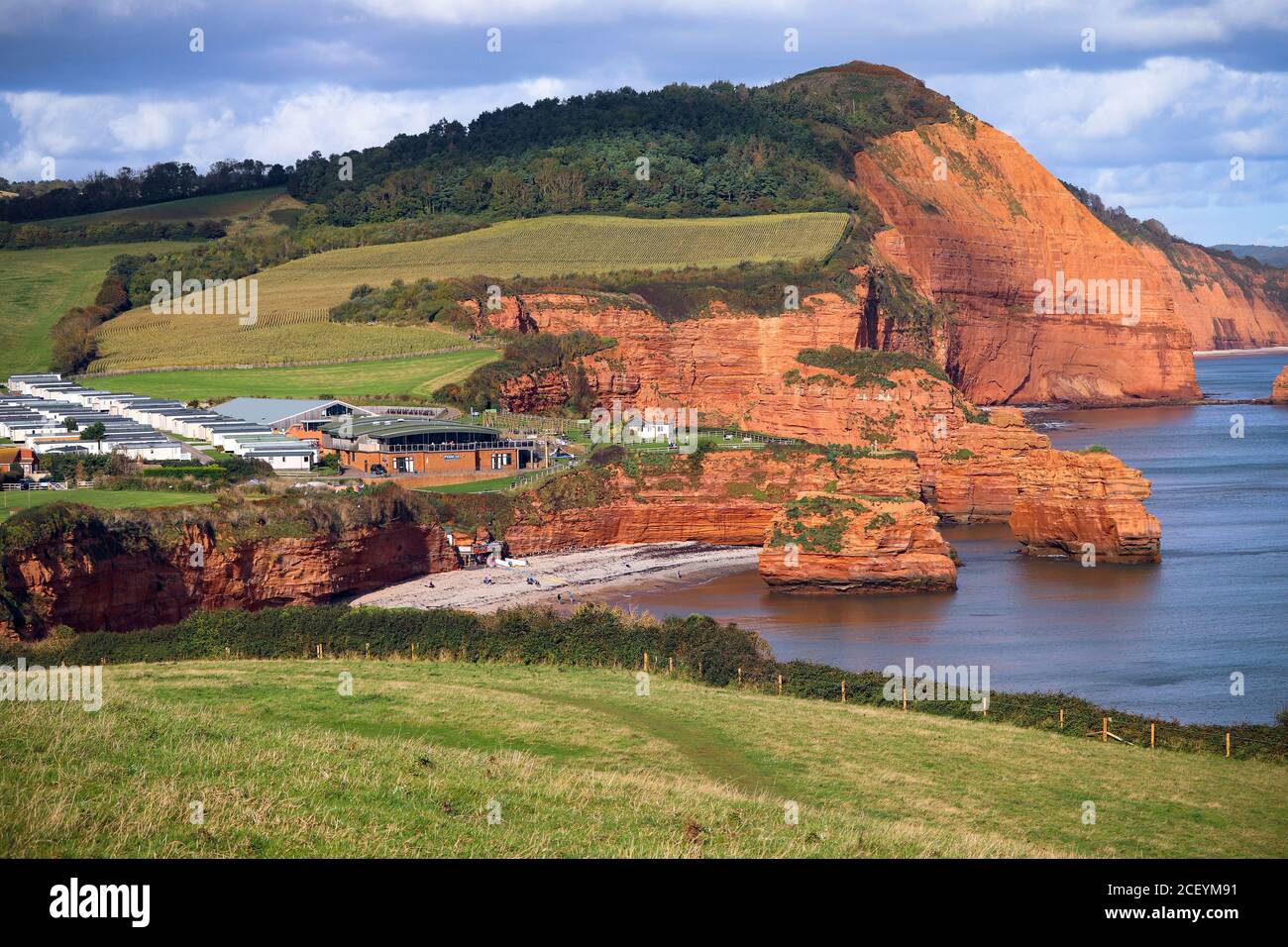 Ladram Bay, Devon Stock Photo - Alamy