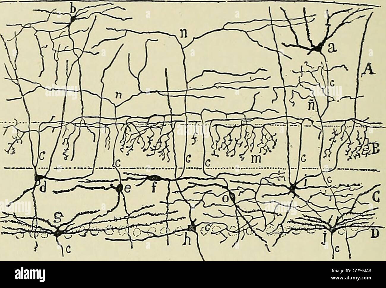 Cir convolution hi-res stock photography and images - Alamy