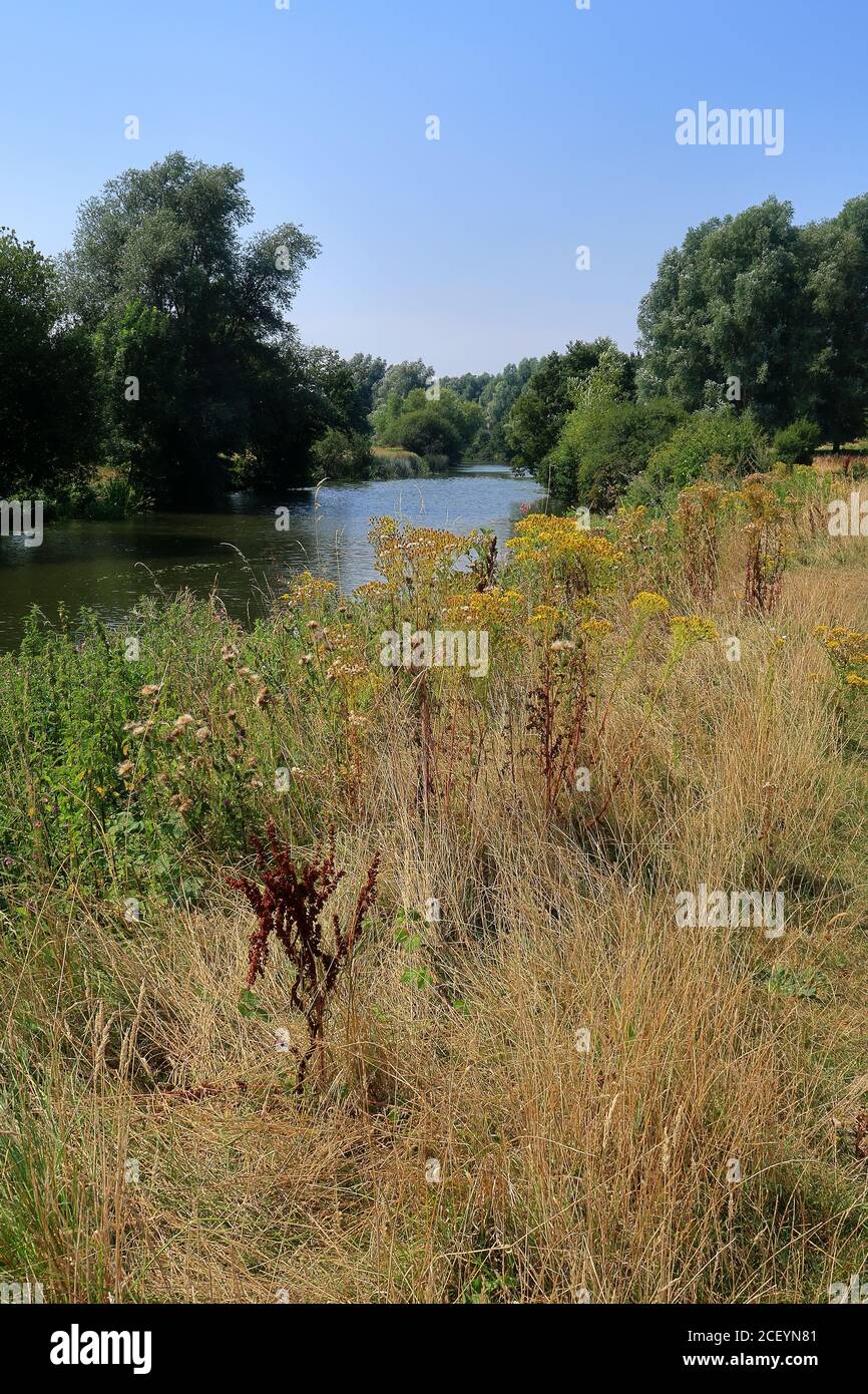 The banks of the River Medway at Teston Stock Photo - Alamy