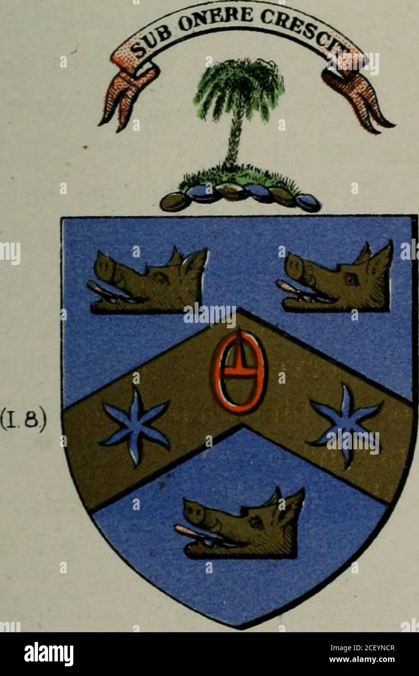 . Records of the clan and name of Fergusson, Ferguson and Fergus Stock ...