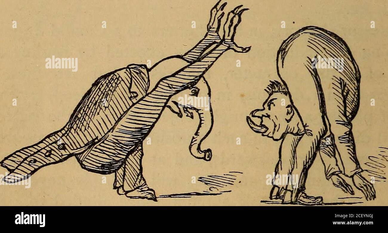 Dancing Mania Disease