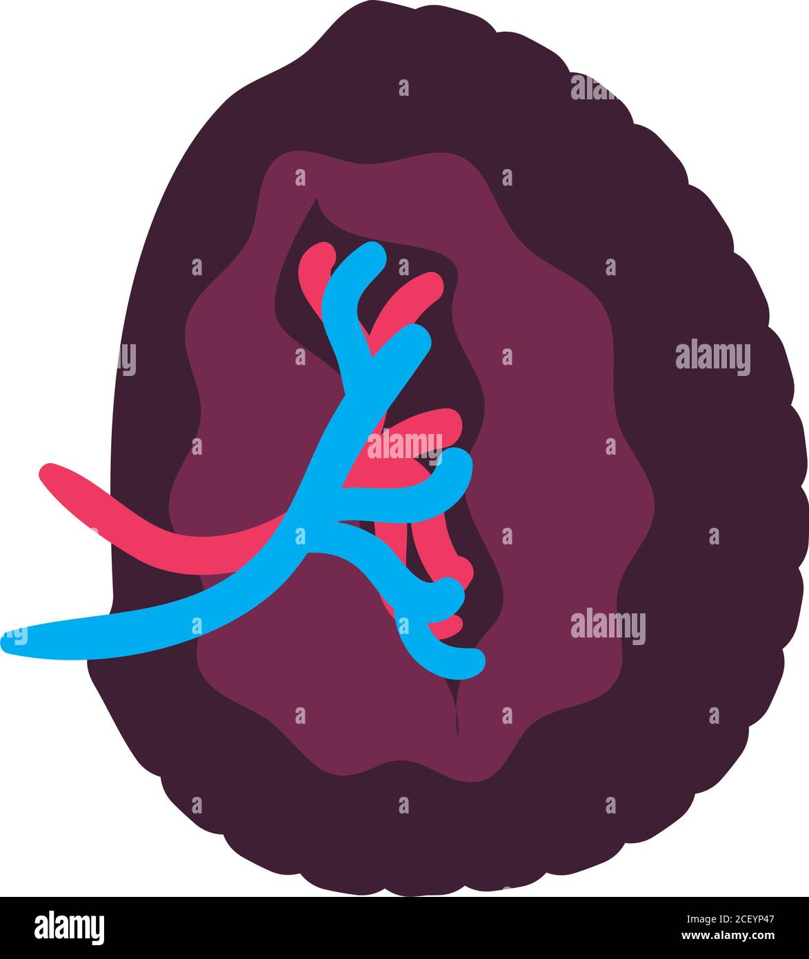 spleen free form style icon design, Human body person people health ...