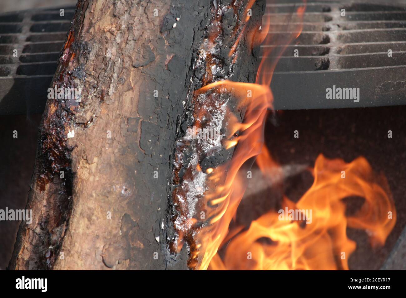 Log on Fire Burning in Firepit Stock Photo - Alamy