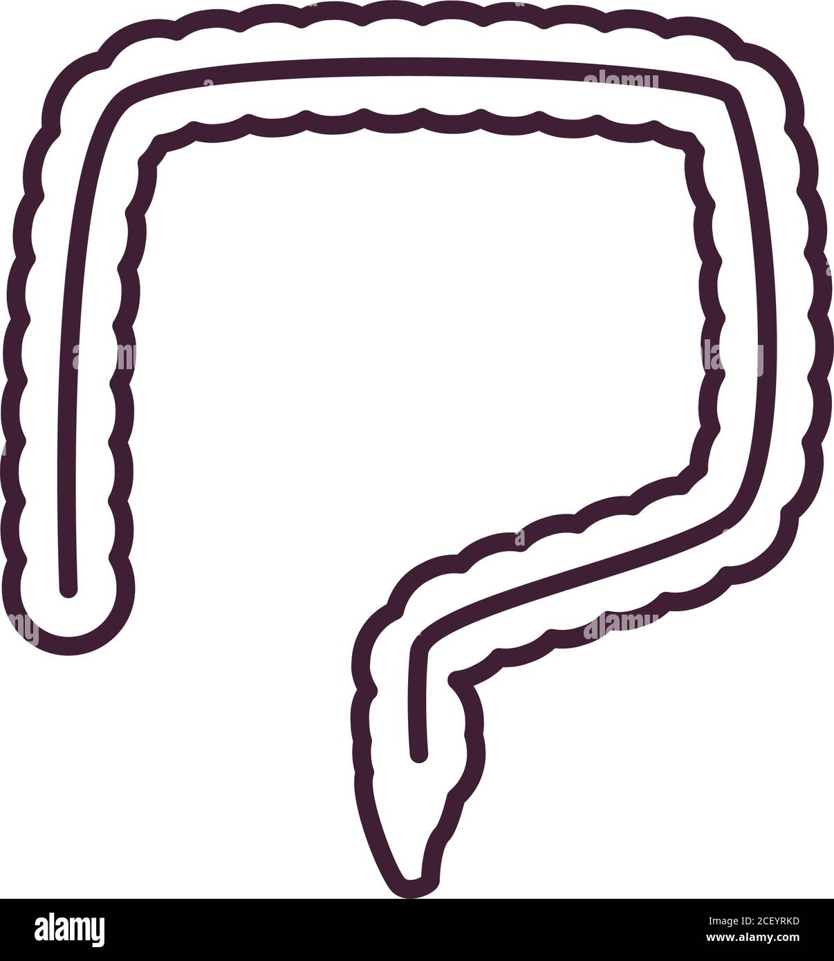 colon line style icon design, Human body person people health anatomy ...